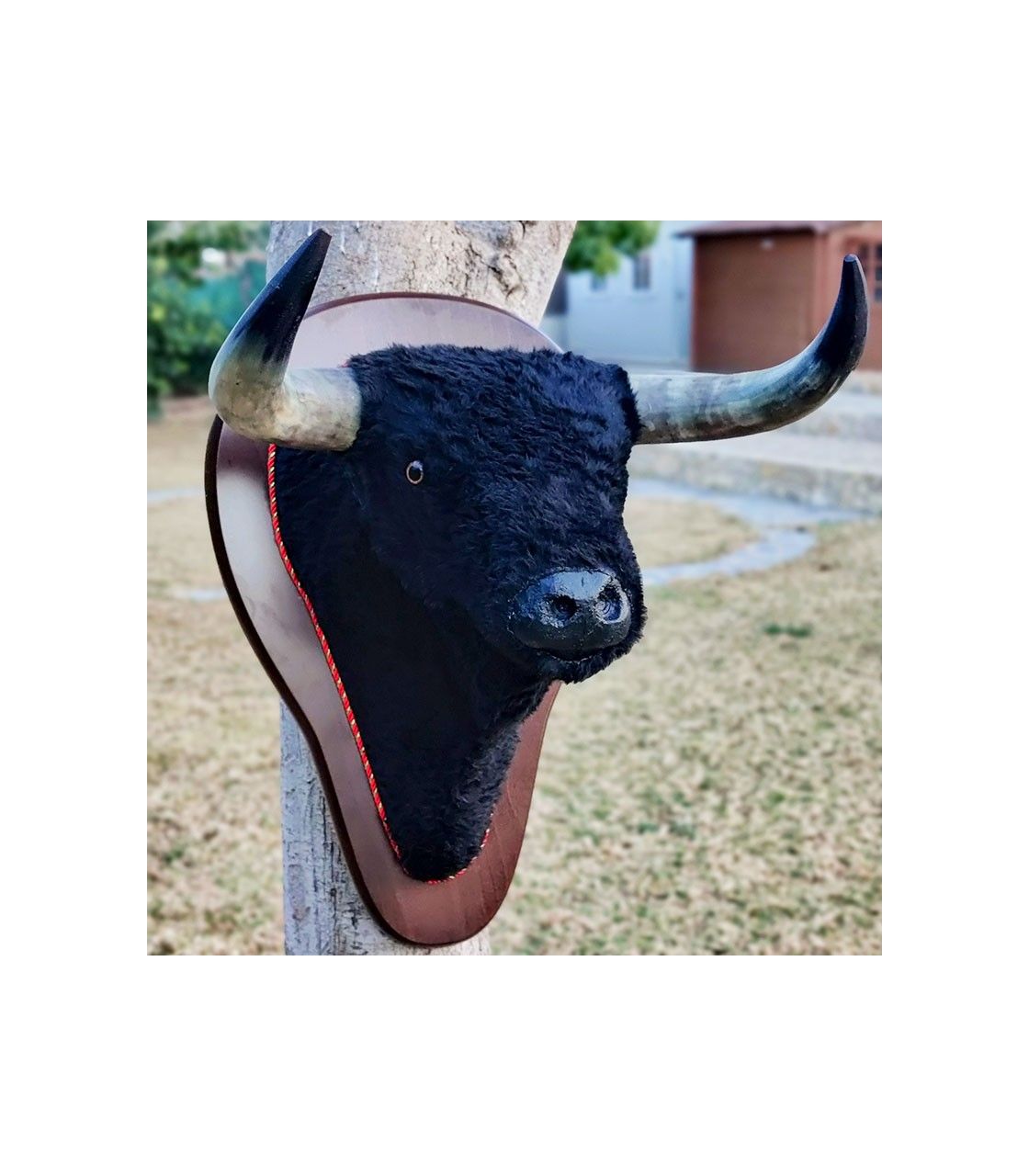 Cuernos de toro: Para decorar y entrenar | Mastoro